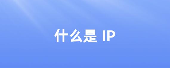 什么是 IP • Worktile社区