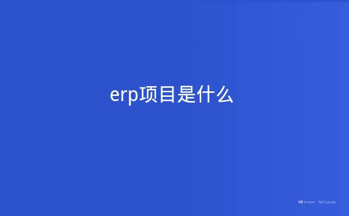 erp项目是什么 • Worktile社区